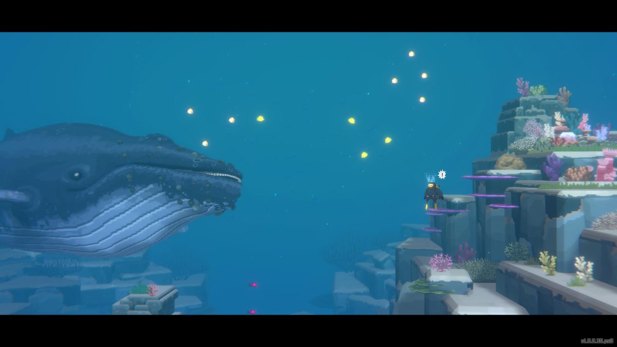 Review: Dave the Diver (PS5)